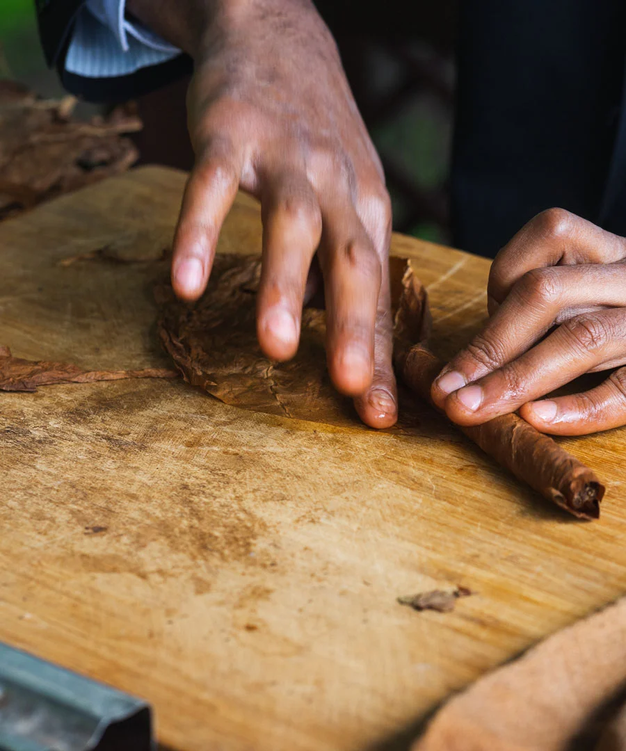 Taino Bay, Puerto Plata