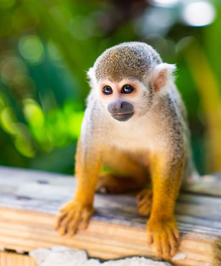 Taino Bay, Puerto Plata